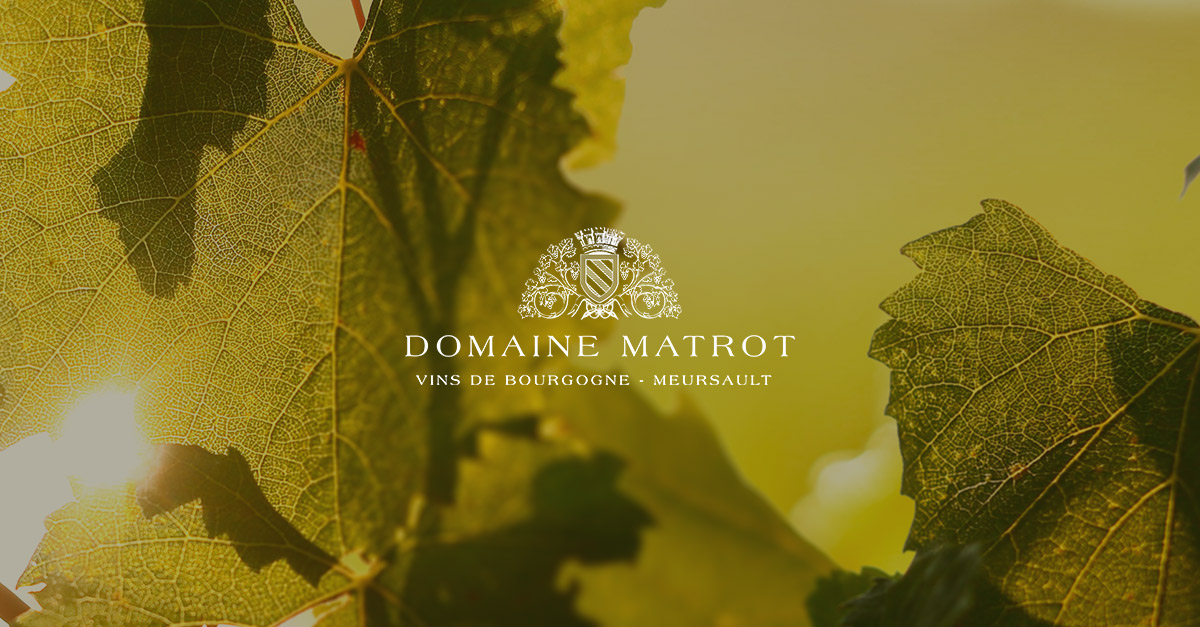 Domaine Matrot Meursault